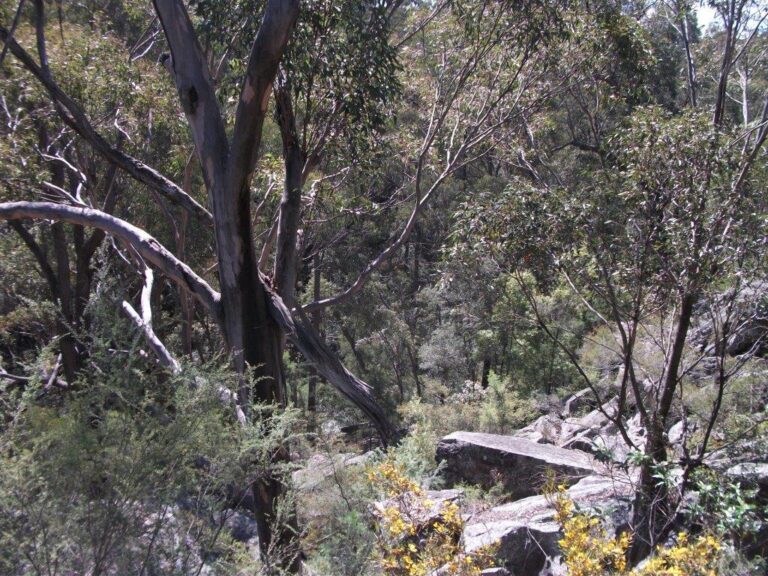 Appin West BioBank Site. - Niche