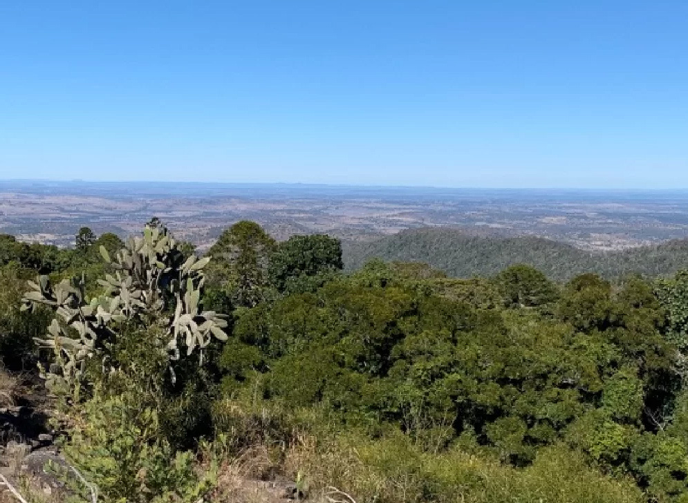 Bunya Mountains – Russell Park MTB Trails. - Niche