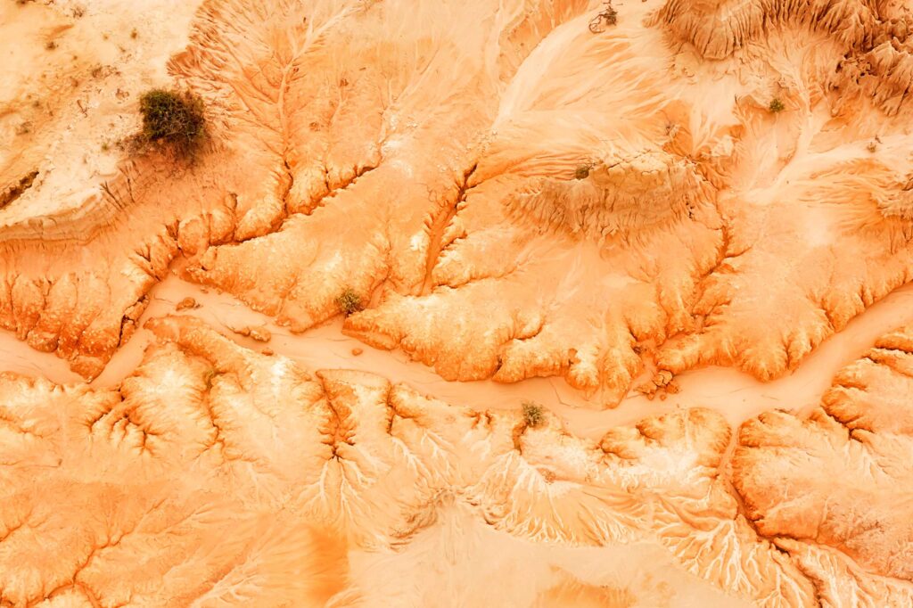 Spatial Services - Niche