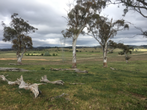 Springdale Solar Farm. - Niche