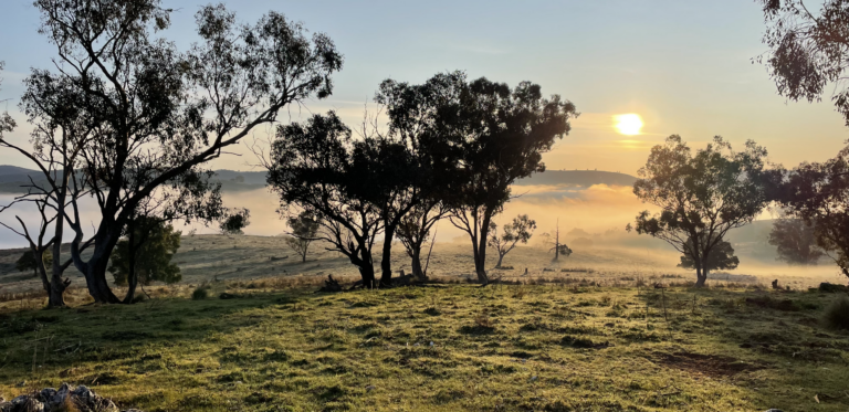 Inland Rail NSW Biodiversity Offset Identification Program. - Niche