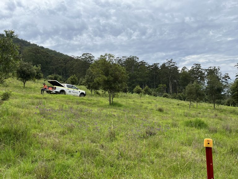 First Nature Repair Market project - Cooplacurripa Station - Niche