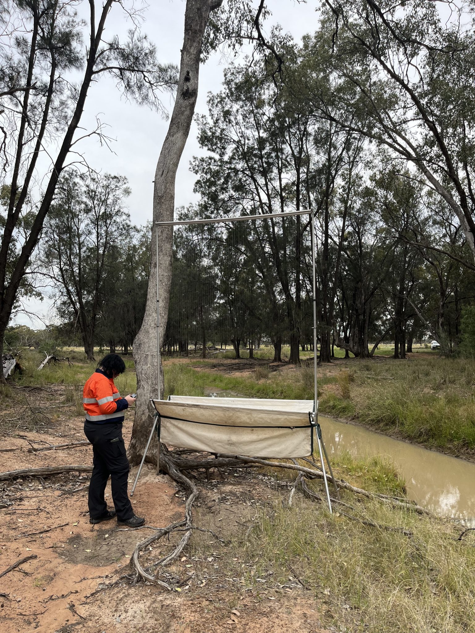 Niche bird and bat studies team grows to support wind energy projects ...
